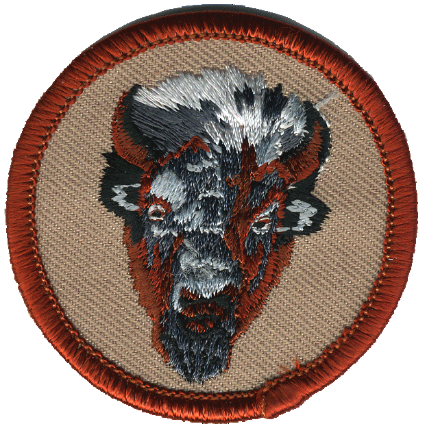 Eagle Gifts Galore/Wild Beast Animal Buffalo/ Bison Buffalo ...